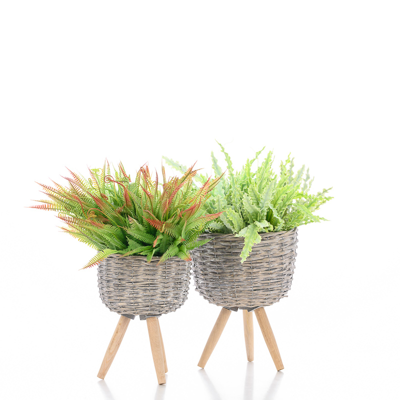 Flower Pot With Legs - Medium - Epipedo